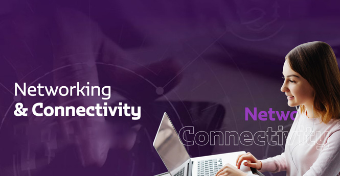 Networking & Connectivity | Axity | Servicios de TI y Comunicaciones